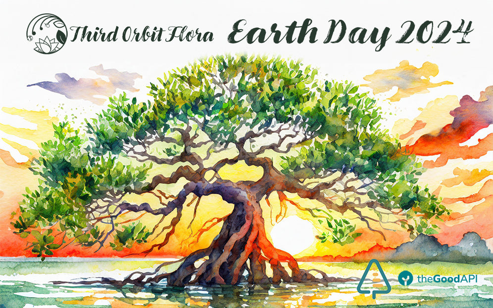 Plant 2 Additional Trees with Sprout – Third Orbit Flora